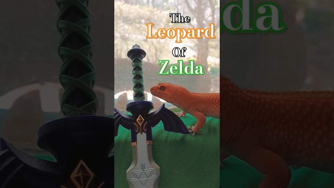 The Leopard of Zelda #funny #lieutenantpancake #legendofzelda # ...