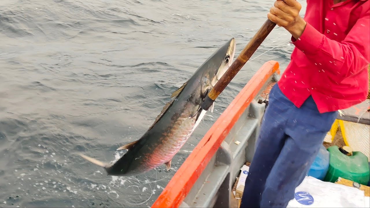 MANGROL BARA KING FISHING VIDEOS IN GUJARAT - YouTube