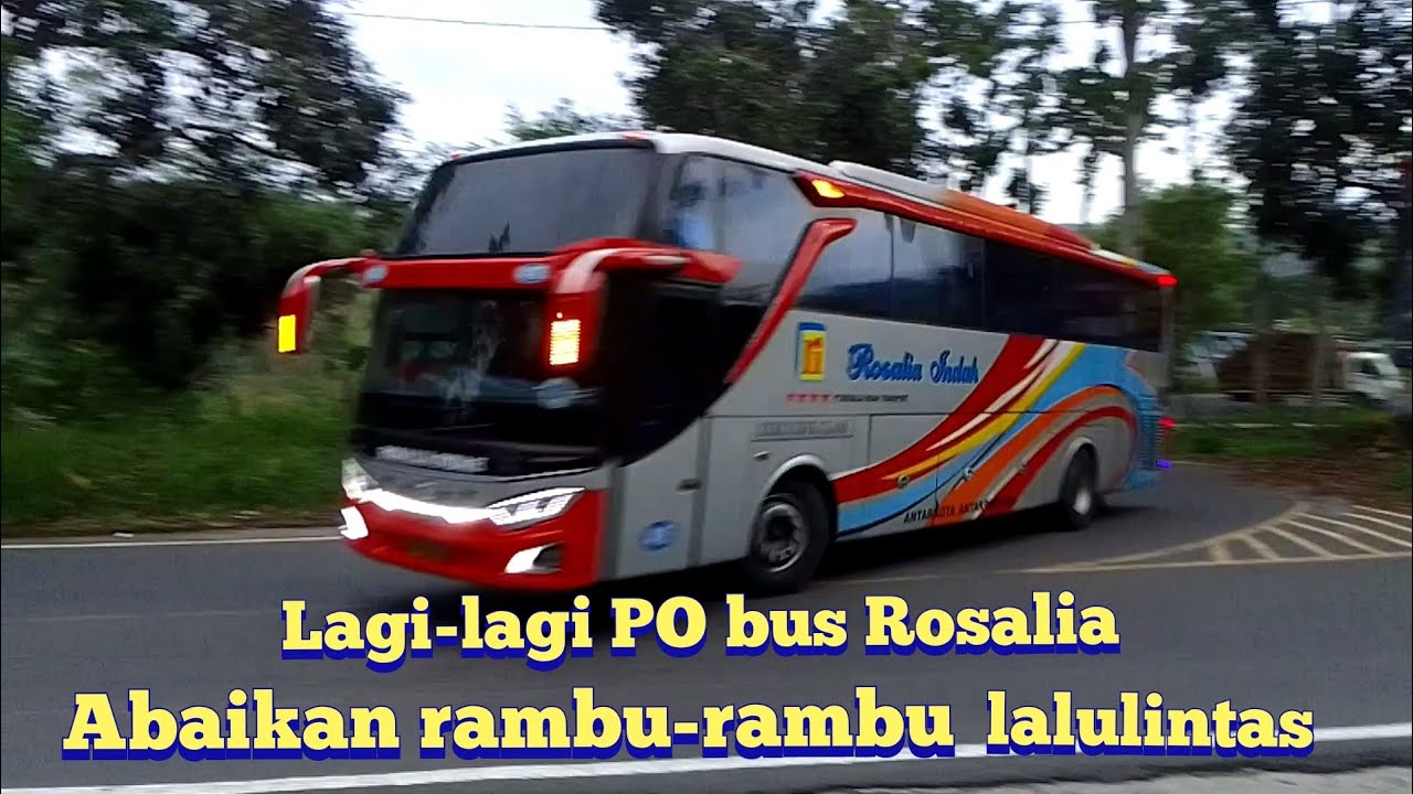 Lagi-lagi PO bus Rosalia indah abaikan rambu-rambu lalulintas - YouTube