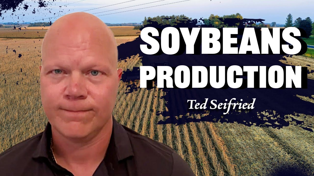 Soybeans Price Update: Ted Seifried on RFD-TV - YouTube