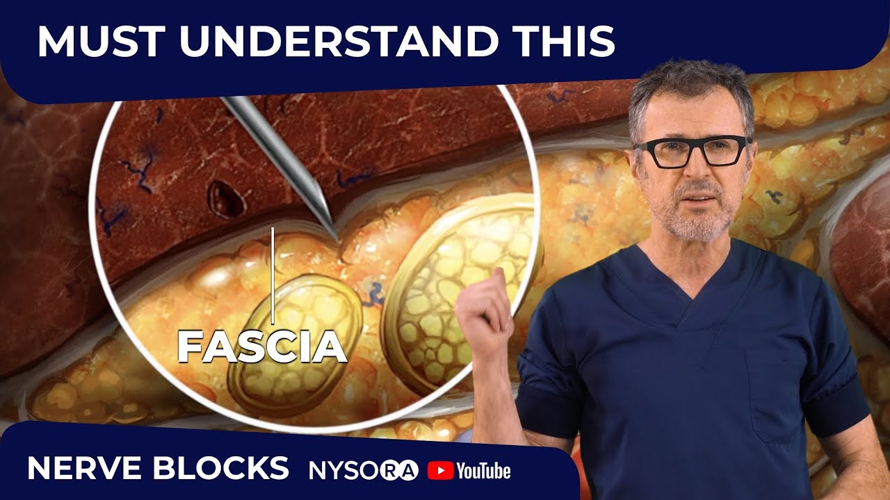 The role of the fascia in Nerve Blocks - YouTube