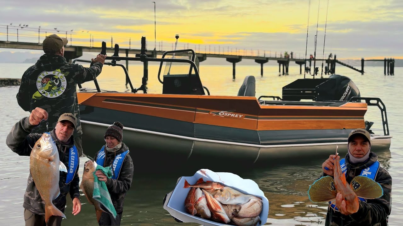 Christening the new Osprey 465SC - snapper and gurnard on the new Reel ...