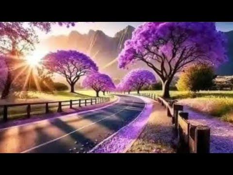 Relaxing Nature video. | ‌‌‌‌‌‌ Stunning Landscape in 4k.‌‌ - YouTube