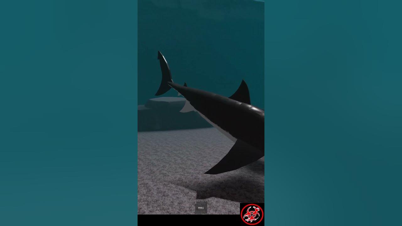 Scp Megalodon shark - YouTube