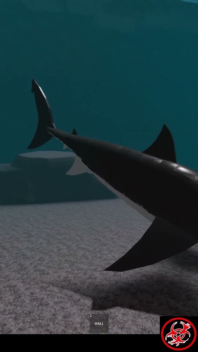 Scp Megalodon shark - YouTube