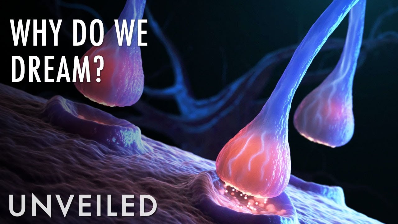 The REAL Reason Humans Dream | Unveiled - YouTube
