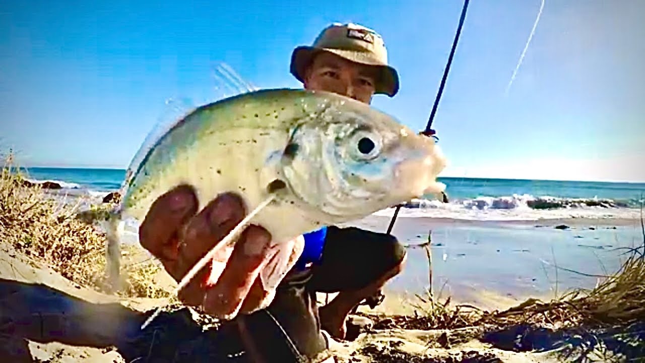 CATCH MORE FISH ON HIGH TIDE - YouTube