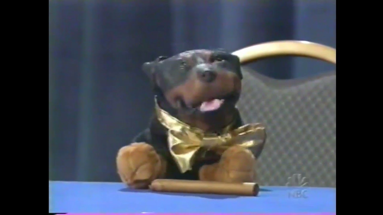 Triumph the Insult Comic Dog Judges Simon Cowell - 1/22/03 - YouTube