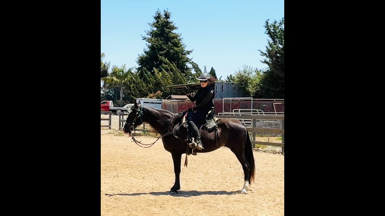 More Info on Gaited Bits - Gaited Horse Training - YouTube