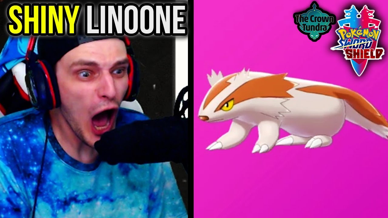 Shiny Linoone from the Max Lair (Dynamax Adventures Shiny Pokemon ...