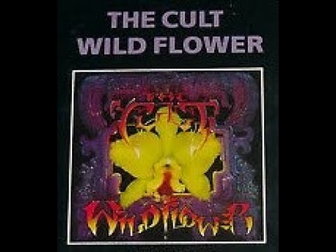 The Cult Wild Flower Bass Cover Lesson With Play Along TABS - YouTube