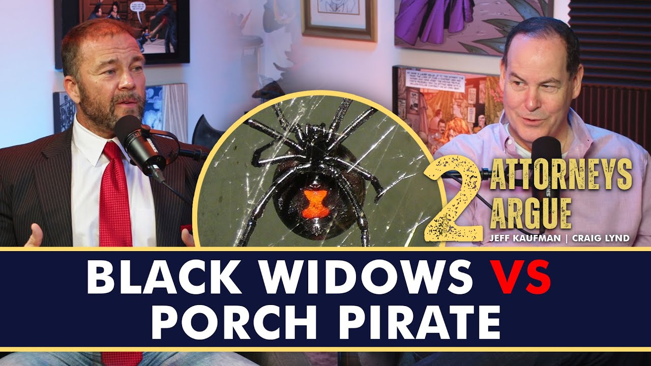 Black widows VS porch pirate | 2 Attorneys Argue - YouTube