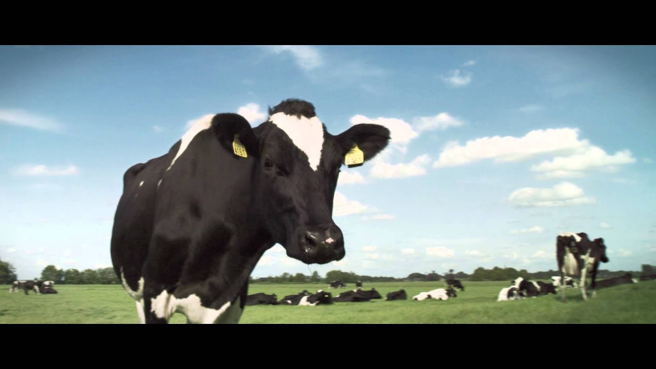 Hoogwegt Group – 'Adding vision and value’ corporate video - YouTube