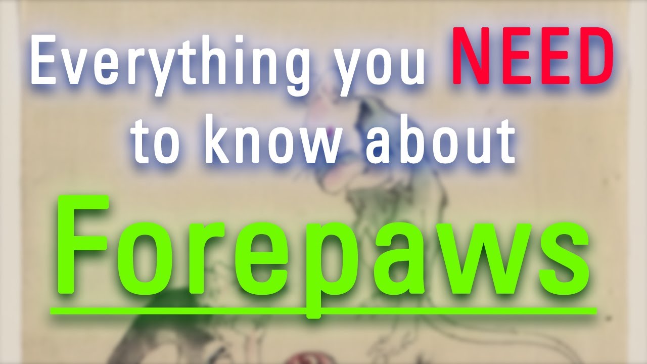 What are Forepaws? | How Do Forepaws Look? | How to Say Forepaws in ...