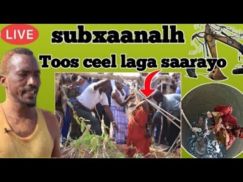 𝗛𝗼𝗼𝘆𝗼 𝗦𝗼𝗺𝗮𝗹𝗶𝘆𝗲𝗱 𝗼𝗼 𝗰𝗲𝗲𝗹 𝗸𝘂𝘀𝗵𝗮𝗰𝗱𝗮𝘆 𝗸𝗮𝗱𝗶𝗯𝗻𝗲 𝗶𝘆𝗮𝗱𝗼 𝗺𝗲𝘆𝗱 𝗹𝗮𝗴𝗮 𝘀𝗼 𝗯𝗶𝘅𝗶𝘆𝗮𝘆 😭😭