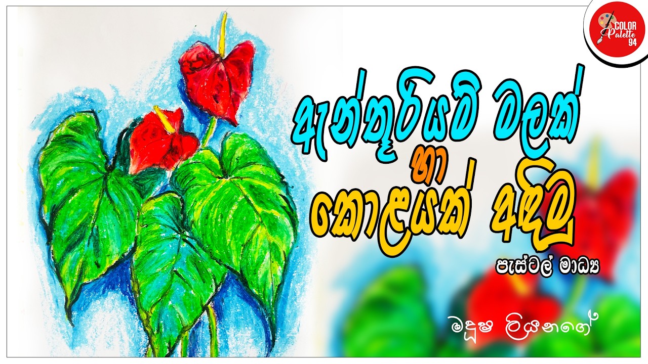 ඇන්තූරියම් මලක් හා කොළයක් අඳිමු|How to draw an anthurium|Anthuriyam ...