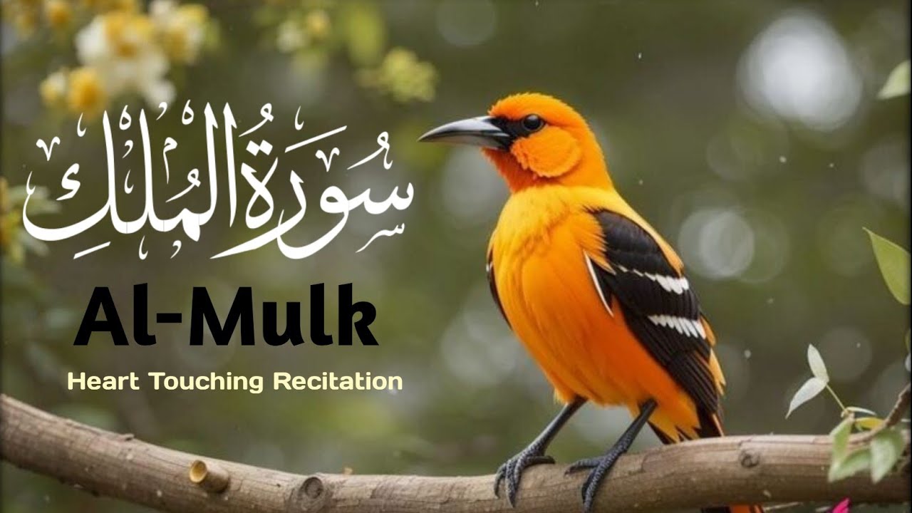 Surah Al Mulk-سُوْرَةُ المُلْكَ|Relaxing,Soothing,Peaceful,Calming ...