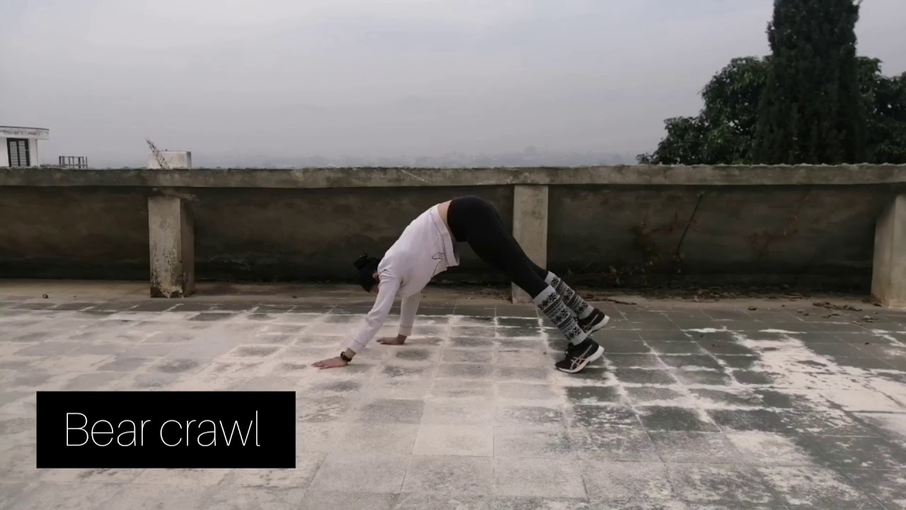 Easy animal exercises - YouTube