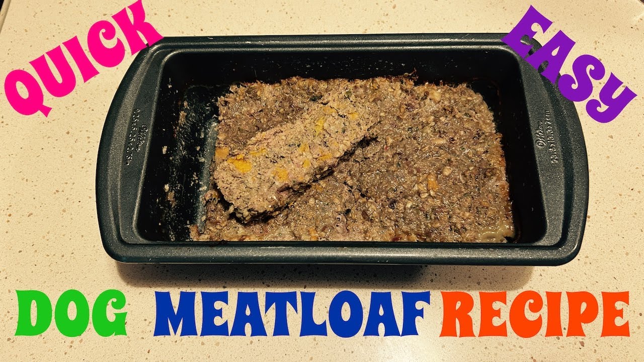 QUICK AND EASY DOG MEATLOAF RECIPE HOMEMADE DOG FOOD COOK FOR YOUR DOG ...
