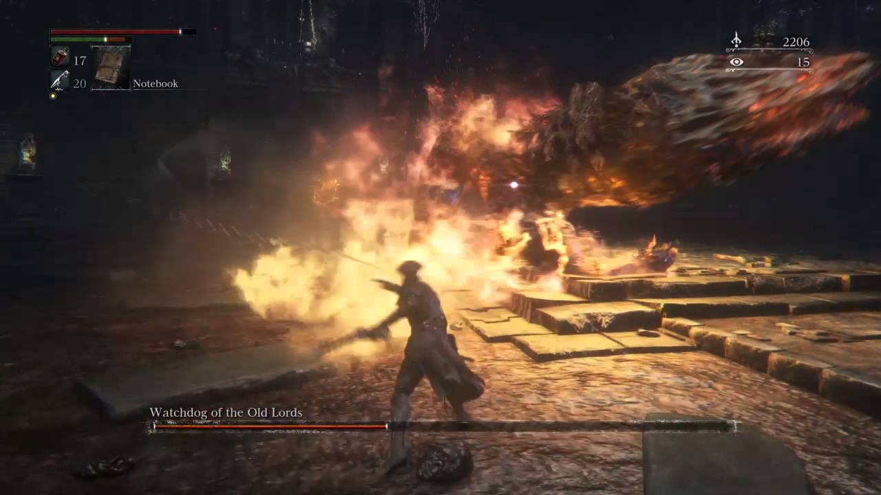 Bloodborne Chalice DungeonWatch Dog Boss - YouTube