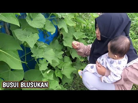 BUSUI NEMU PENTIL JIPANG BUAT SAYUR ASEM, #vlog #kids #wekeend #harilibur #kuliner #food #babyboy