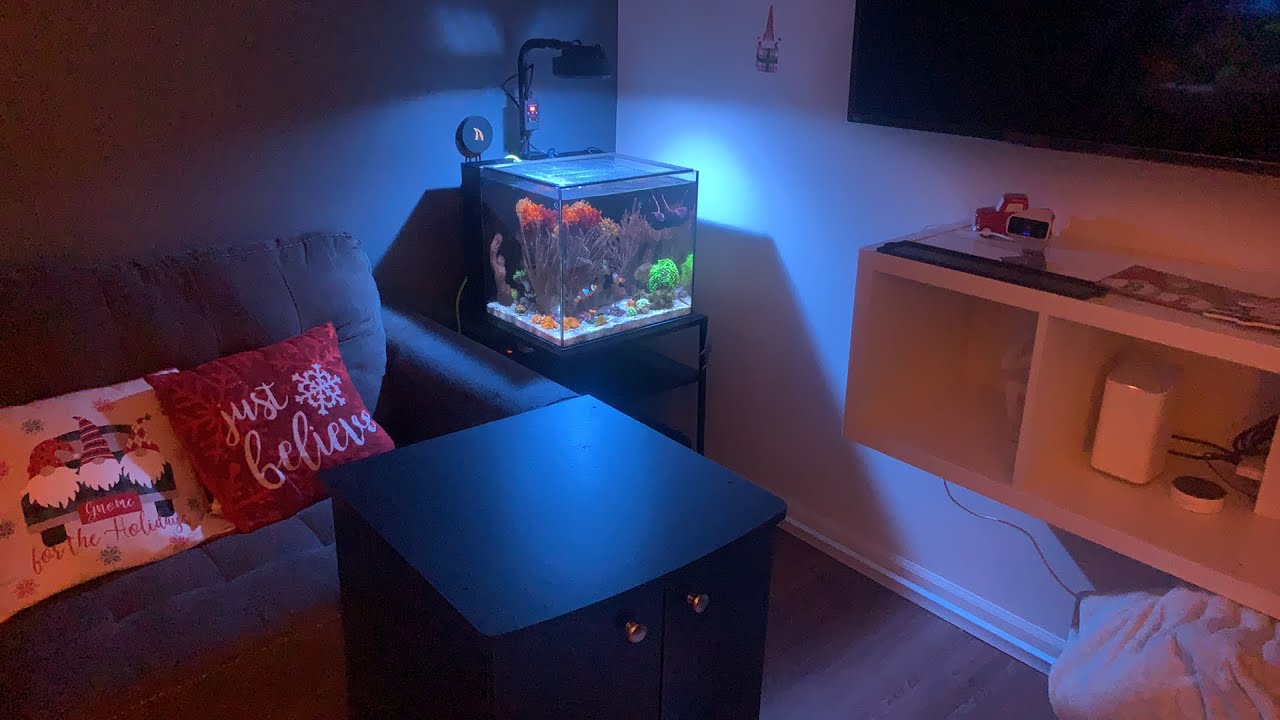 Upgrading the stand for my water box 20 with a 29g biocube stand - YouTube