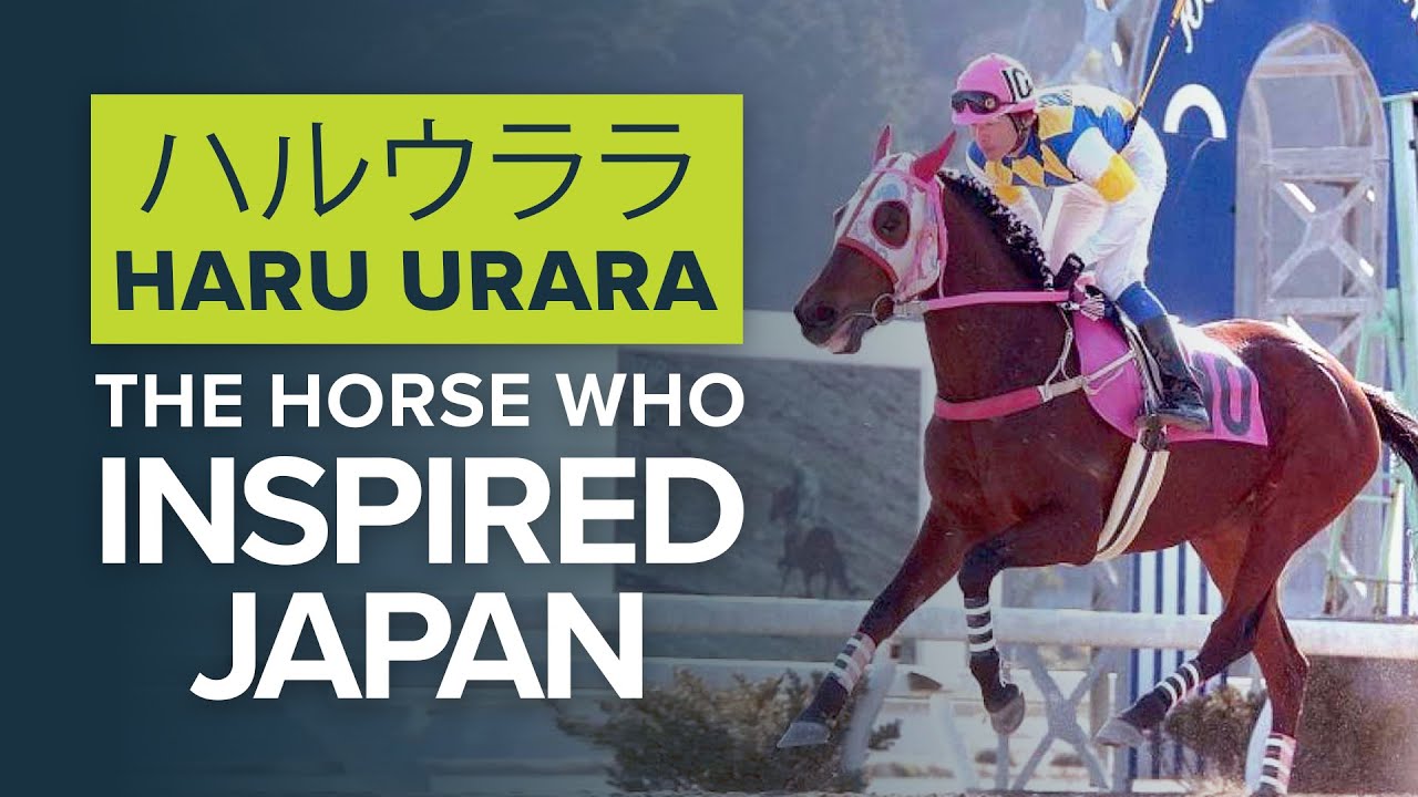 ハルウララ: JAPANESE RACEHORSE INSPIRES A NATION | HARU URARA - YouTube