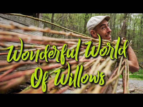 Wonderful World of Willows  & Permaculture