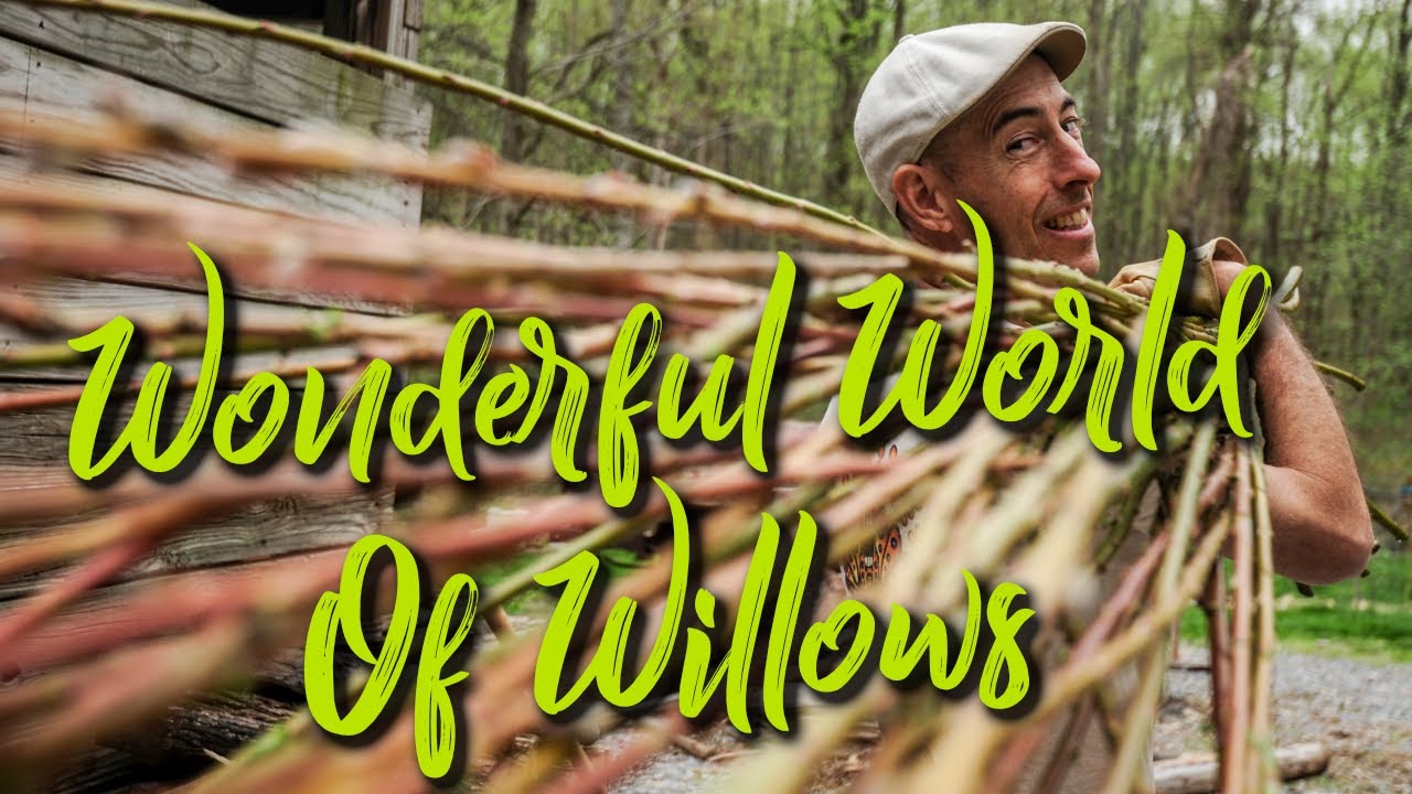 Wonderful World of Willows & Permaculture - YouTube