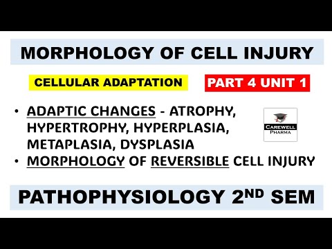 Cellular adaptation | Morphology of cell injury | Reversible | Part 4 ...