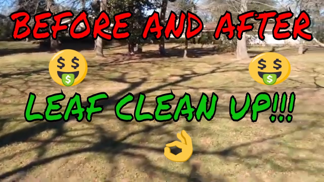 Before And After Leaf Clean Up - YouTube
