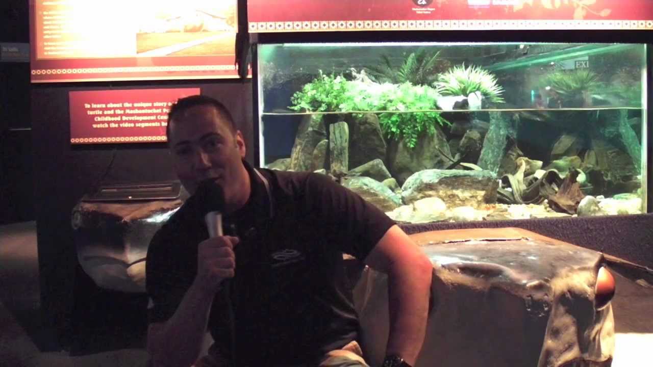 Fish Guy TV "Stretch" The Snapping Turtle - YouTube