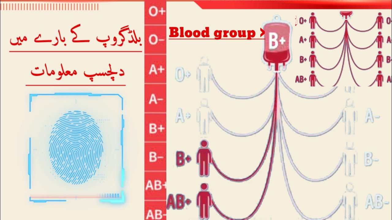 Blood group information - YouTube