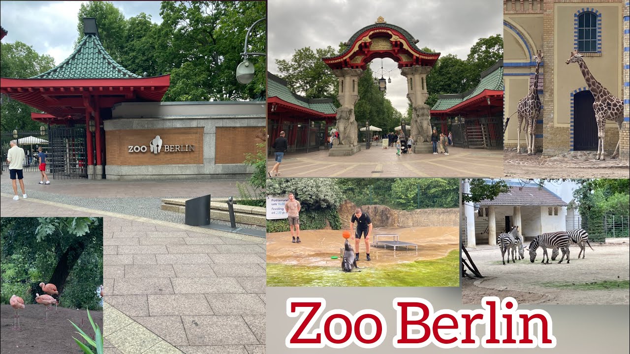 Zoo Berlin | Part I | Germany | Animals | Reptiles | #berlin #germany # ...