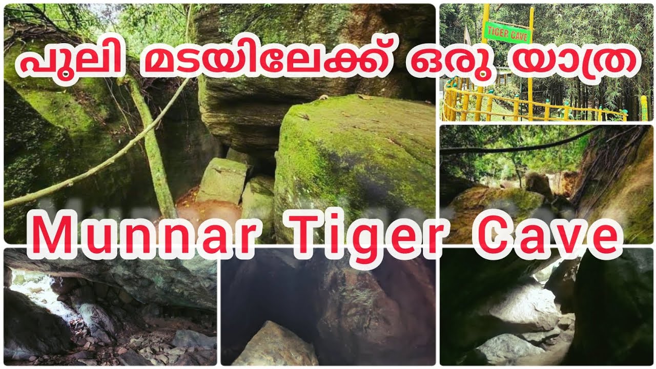 Exploring the Enigmatic Tiger Cave in Munnar | മൂന്നാർ പുലി മടയിലേക്ക് ...