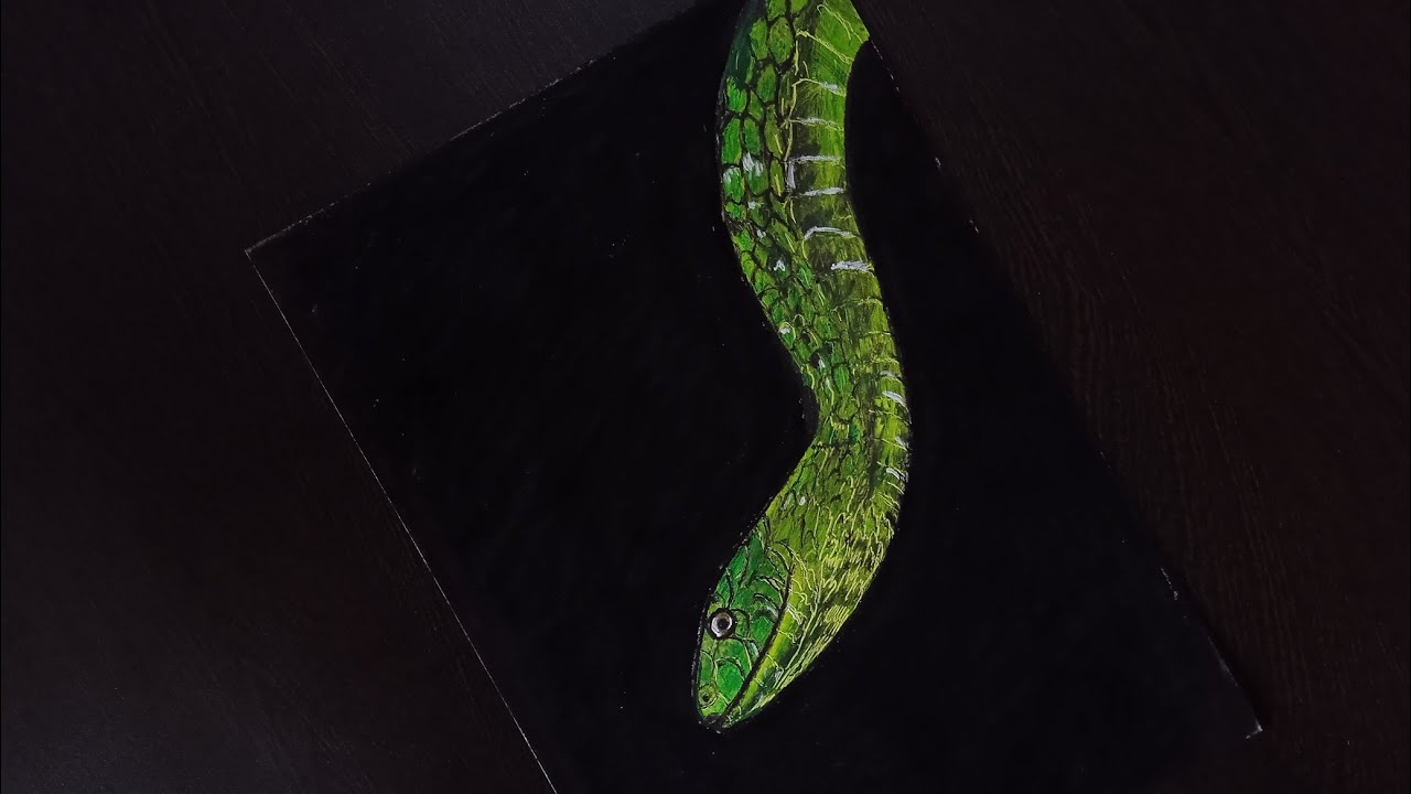 Green Snake//oil pastels#art #oilpasteldrawing #easyoilpasteldrawing # ...