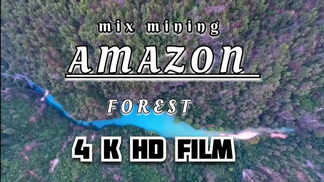 Amazon Jungle 4k HD Film | Nature and birds of Rainforest | Relaxation ...
