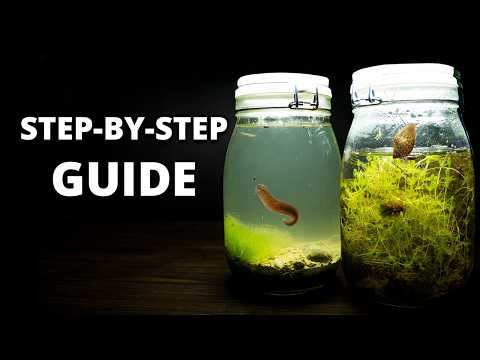 How to Build a Self-Sustaining Jar Ecosystem