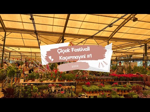 İzmir Bostanlı  Çiçek Festivali  Sonunda Açıldı  Çiçek  Sevenler İçin  Kaçırmayın!  3-6 Haziran 2022