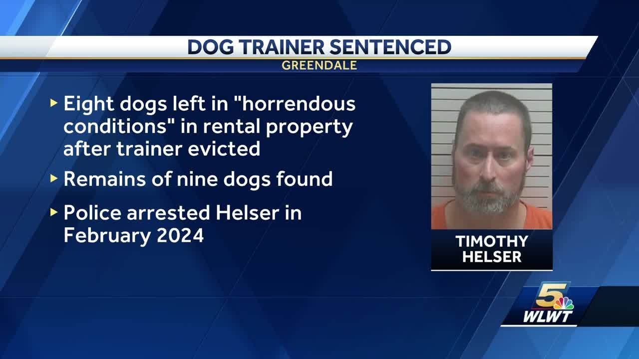 Prosecutor: Former dog trainer pleads guilty to animal cruelty charges ...