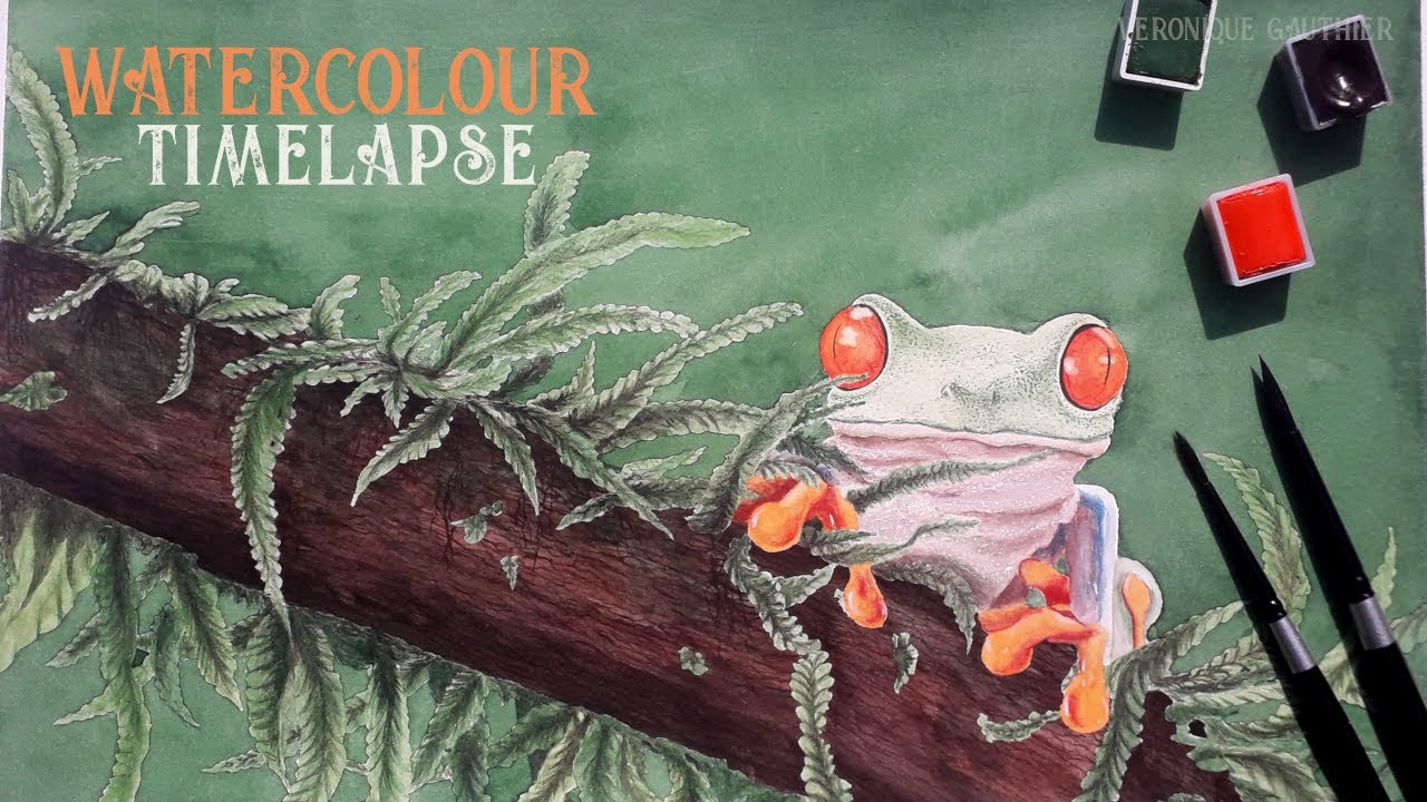 Painting a tree frog in WATERCOLOUR /// Timelapse - YouTube