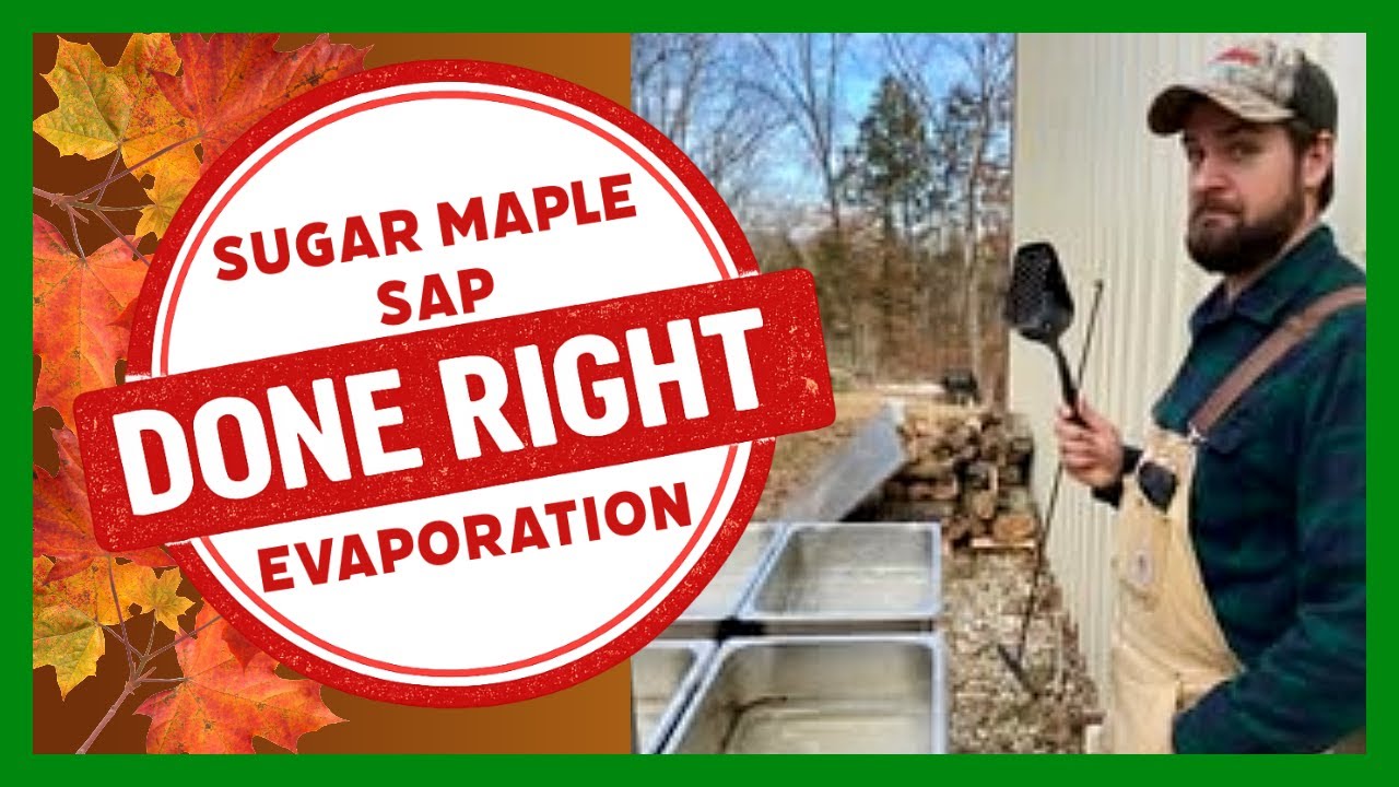 How to Boil Maple Sap Into Syrup | Evaporation, Finishing & Testing for ...