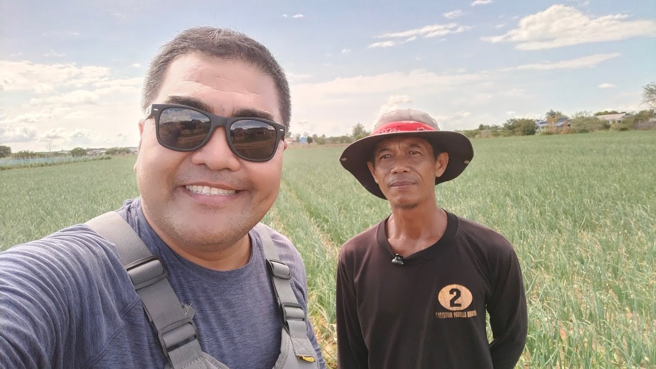 ito ang nagagawa ng miracles foliar sa tanim na sibuyas ni kuya ...