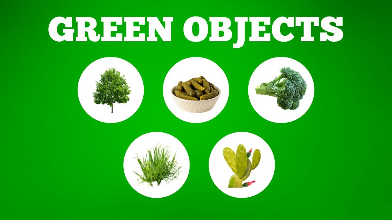Green color I Things that are green in color I Green color objects ...
