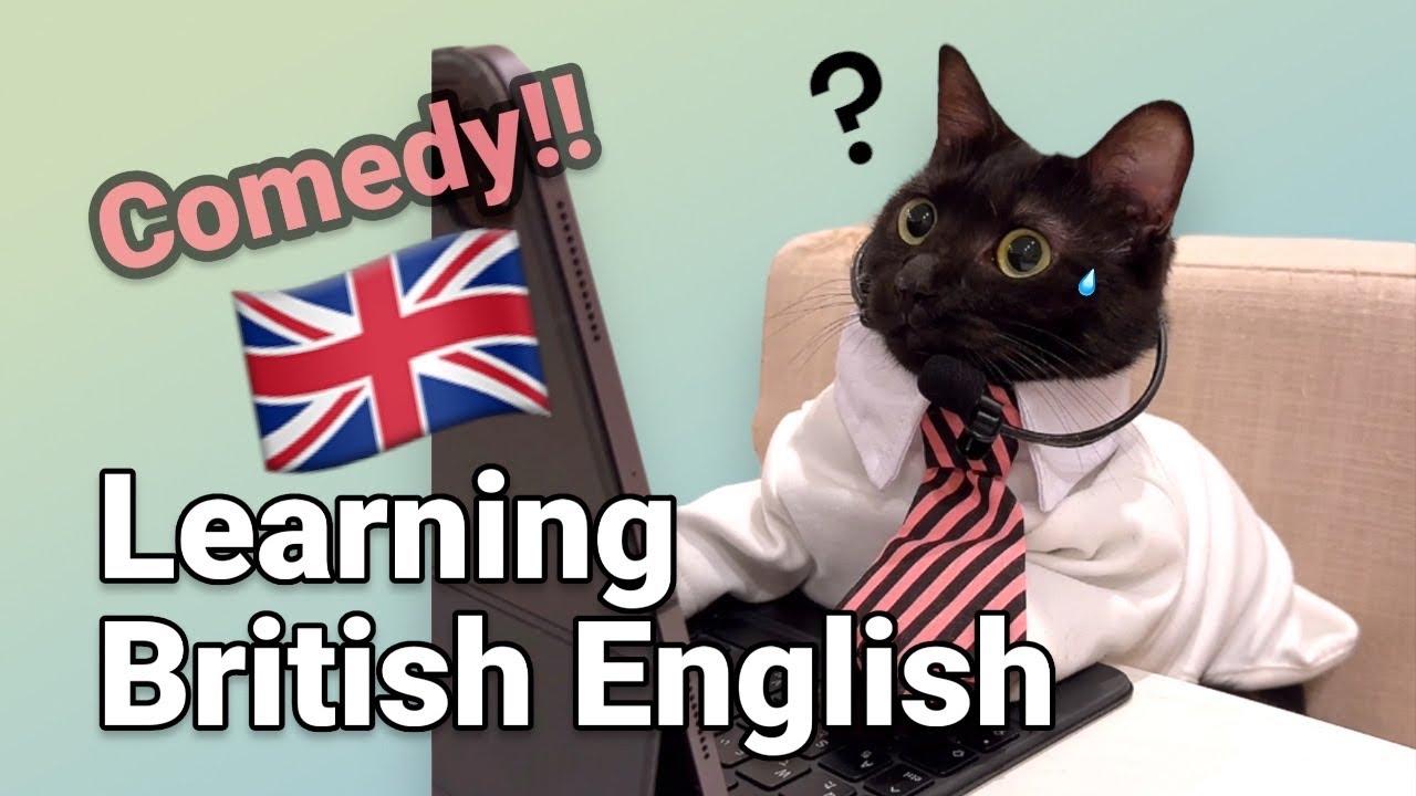 Funny Cats😹Cat confused by British English - YouTube