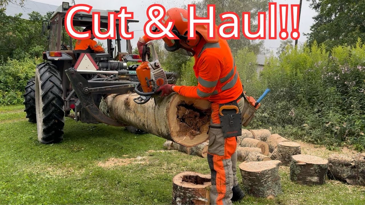 Birch Tree Part 2: Grapple Work + Log Cutting - YouTube