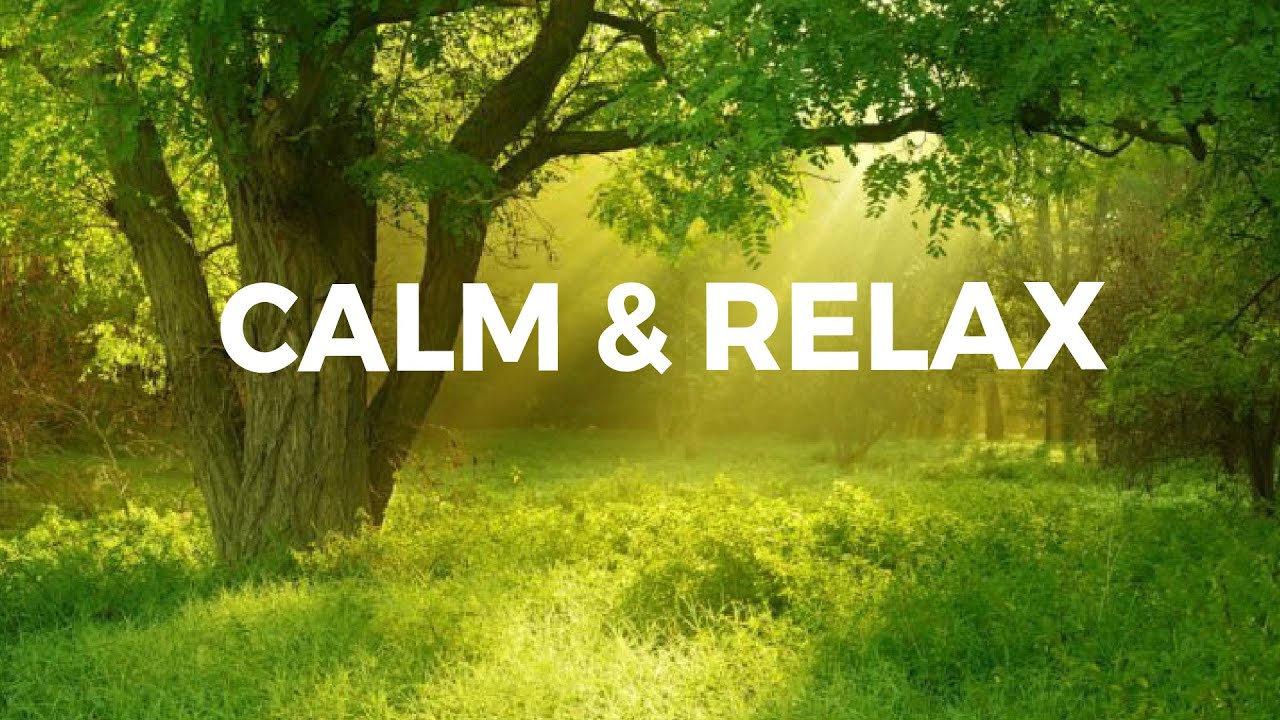Calming Zen Spa Music To Calm & Relax the Body, Mind & Spirit - YouTube