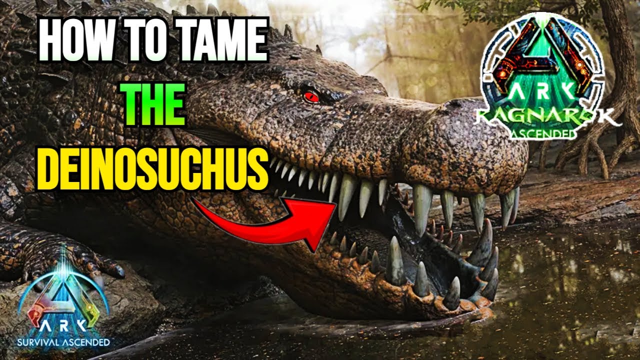 HOW to TAME the DEINOSUCHUS on Ragnarok - ARK Survival ASCENDED - YouTube