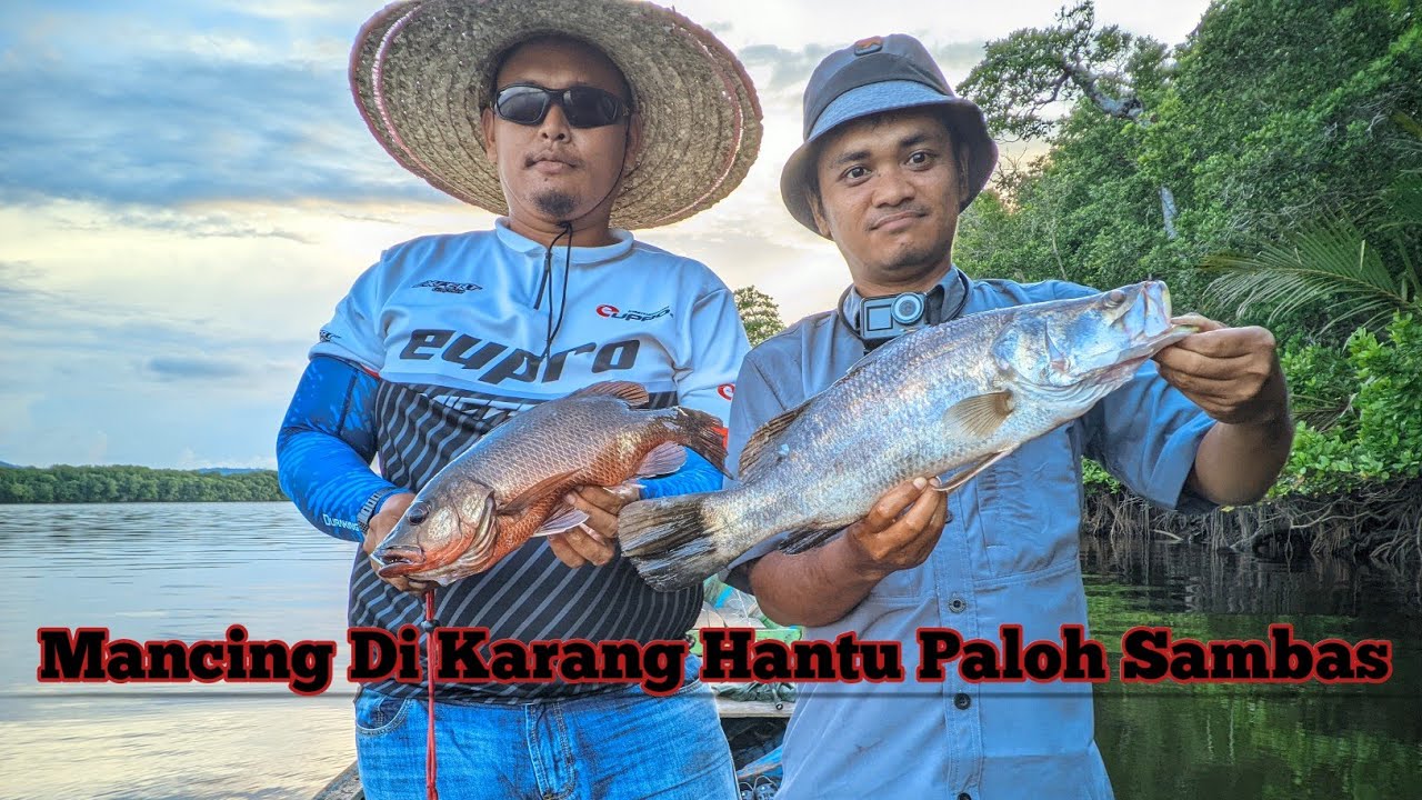 Mancing Di Karang Hantu Paloh Sambas - YouTube