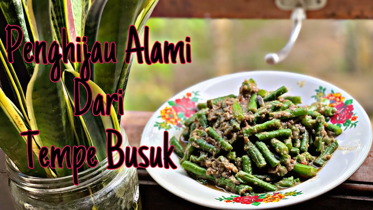 Tempe busuk penghijau alami, bikin sayur tambah hijau - YouTube
